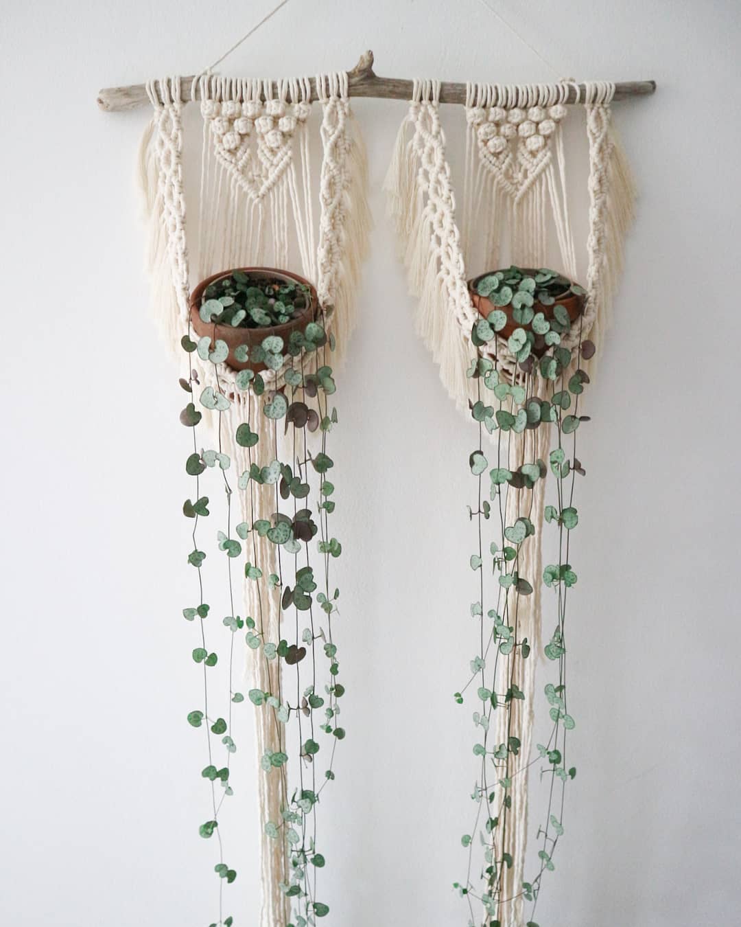 17+ Macrame Wall Hangings and Patterns