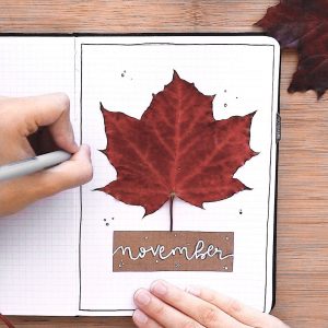 34+ November Bullet Journal Ideas For Your Bujo