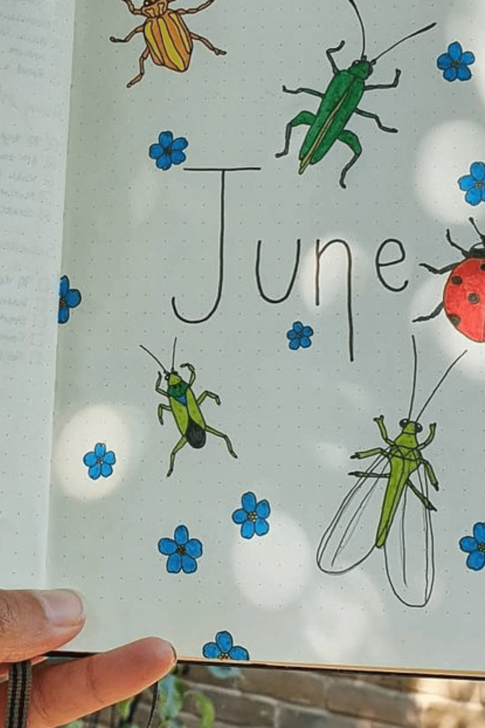 30 New June Bullet Journal Ideas To Inspire You