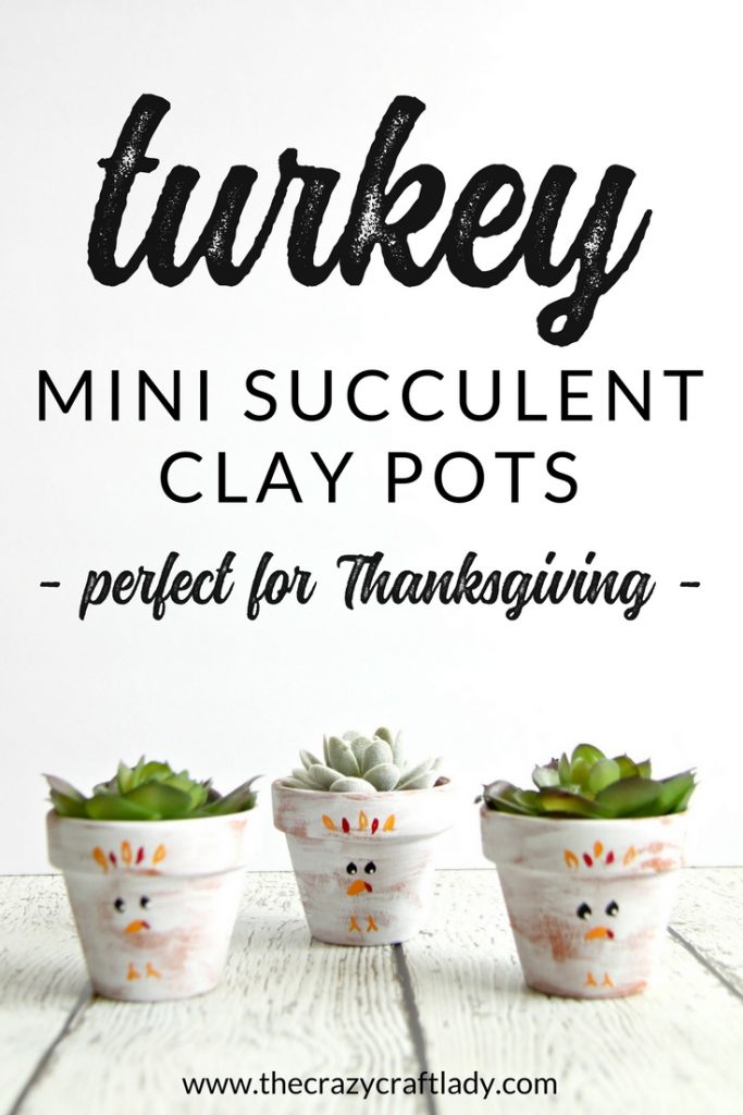 40 Fun & Easy DIY Clay Pot Crafts for Beginners