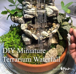 35 DIY Terrarium Ideas To Add More Plants In Your Home