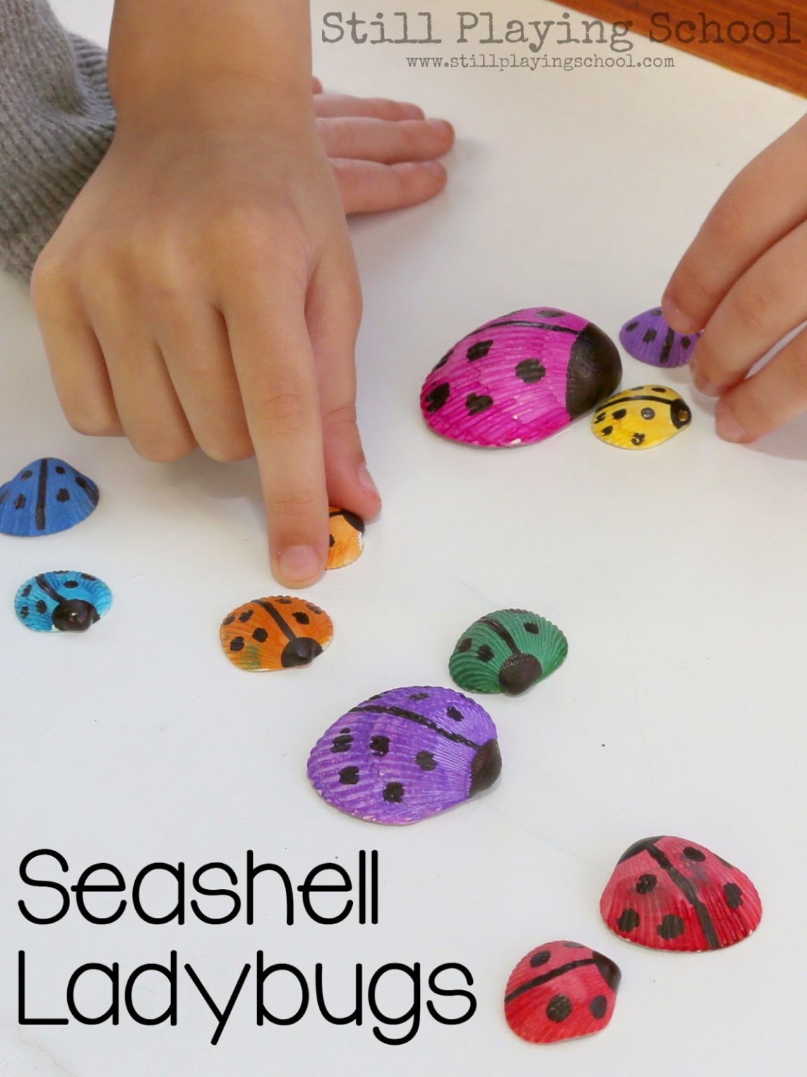 40 Handmade Seashell Crafts Ideas For Adults and Kids