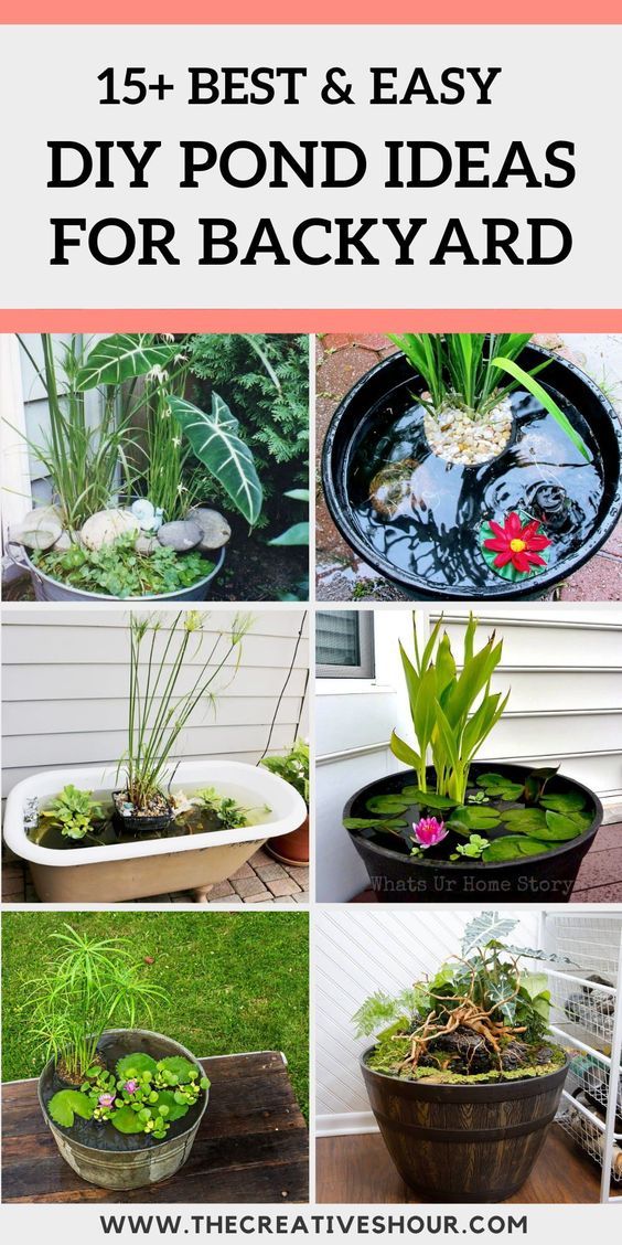 15+ DIY Pond Ideas for your Backyard