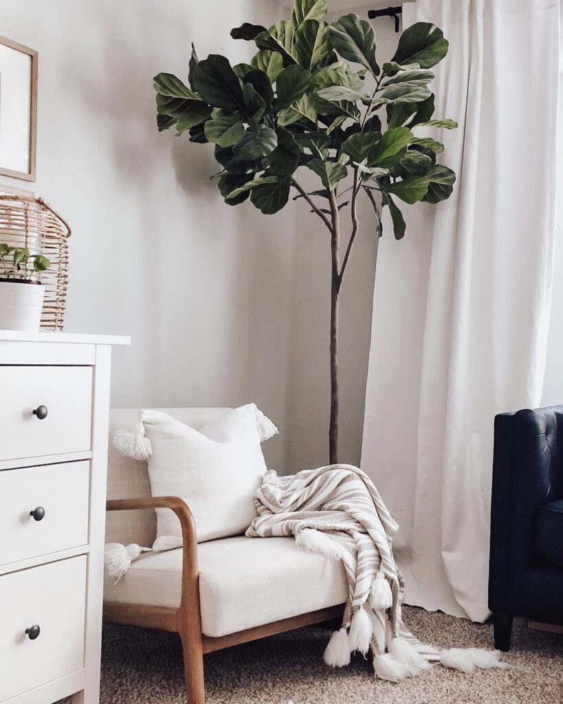 25 Super Cozy And Serene Bedroom Corner Ideas For You