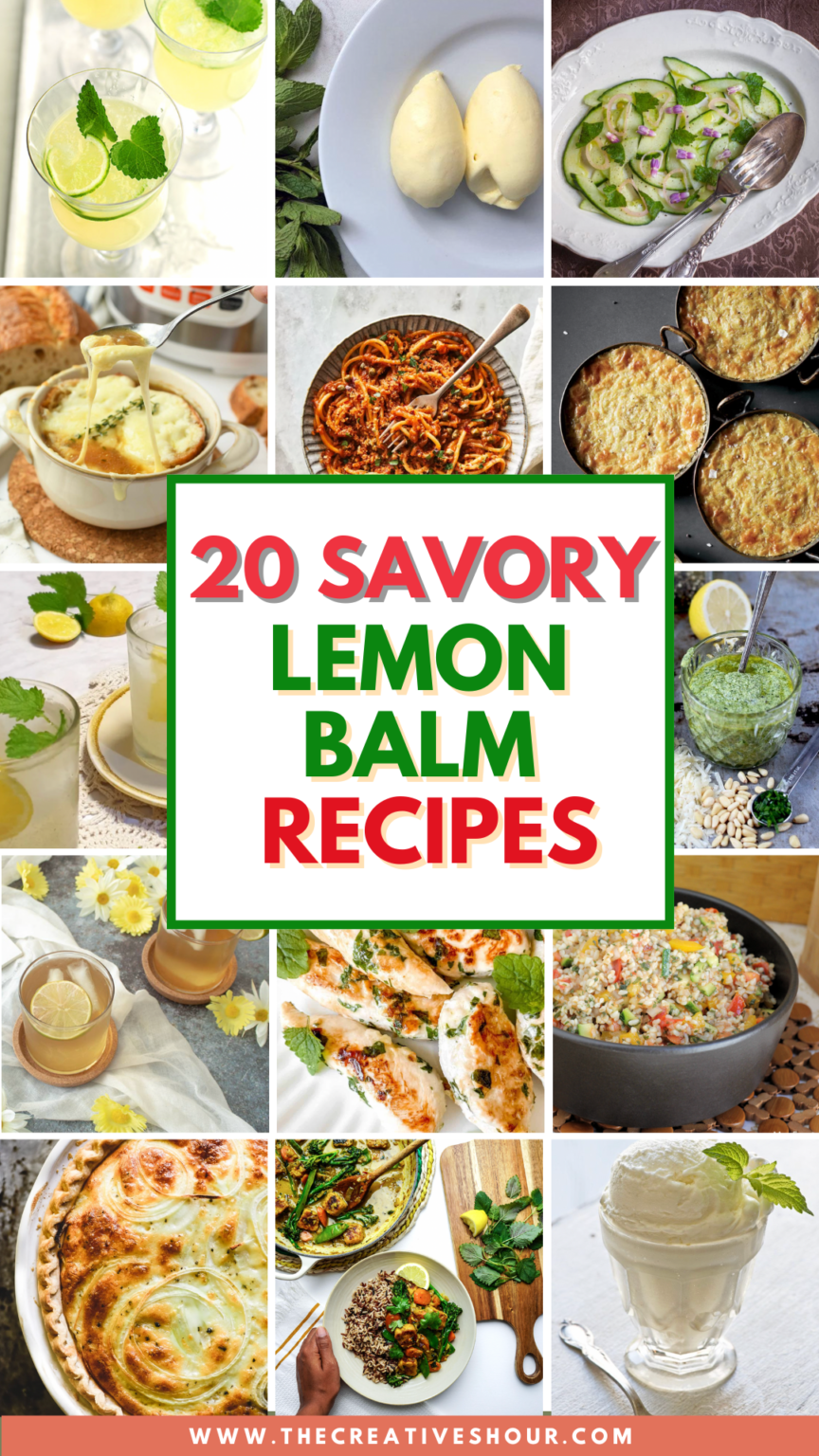 20 Mouth Watering Lemon Balm Recipes You Will Love