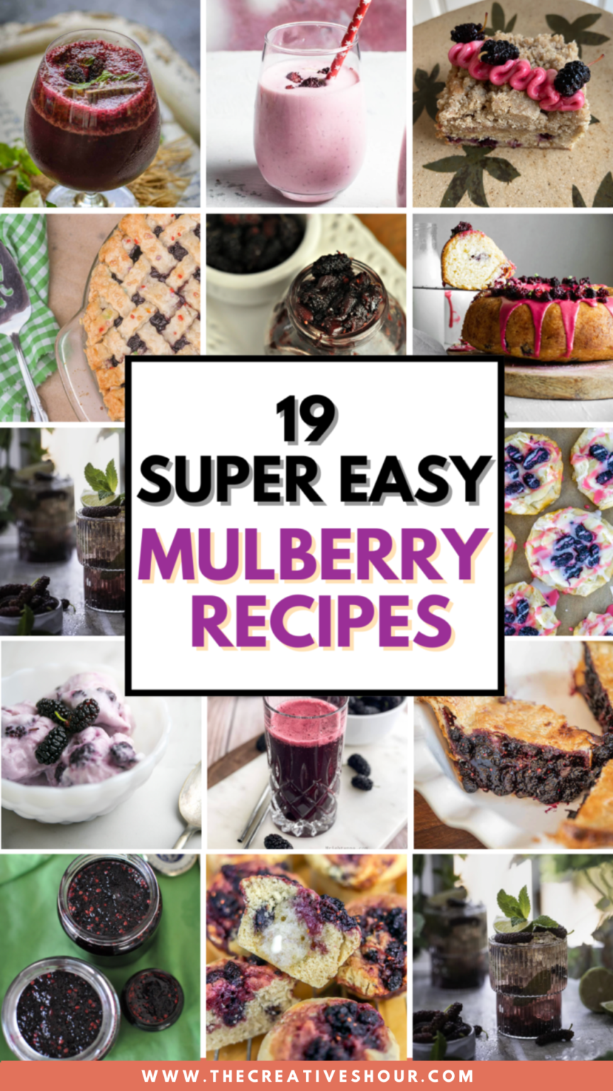 19 Mouth Watering Mulberry Recipes You Should Give These A try