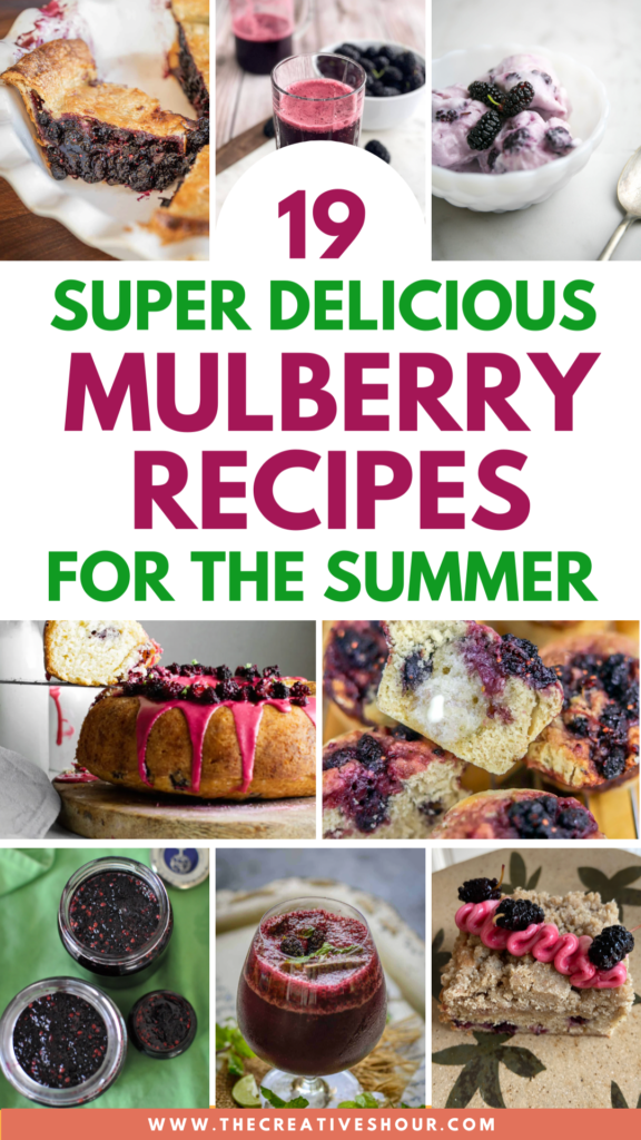 19 Mouth Watering Mulberry Recipes You Should Give These A try