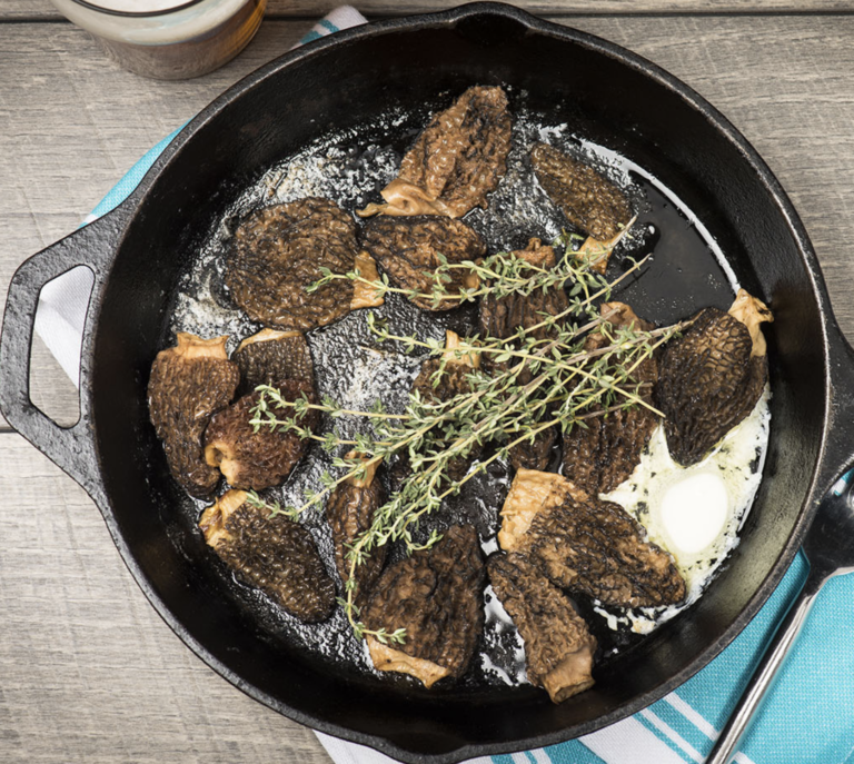 17 Most Delicious Morel Mushroom Recipes You Should Try